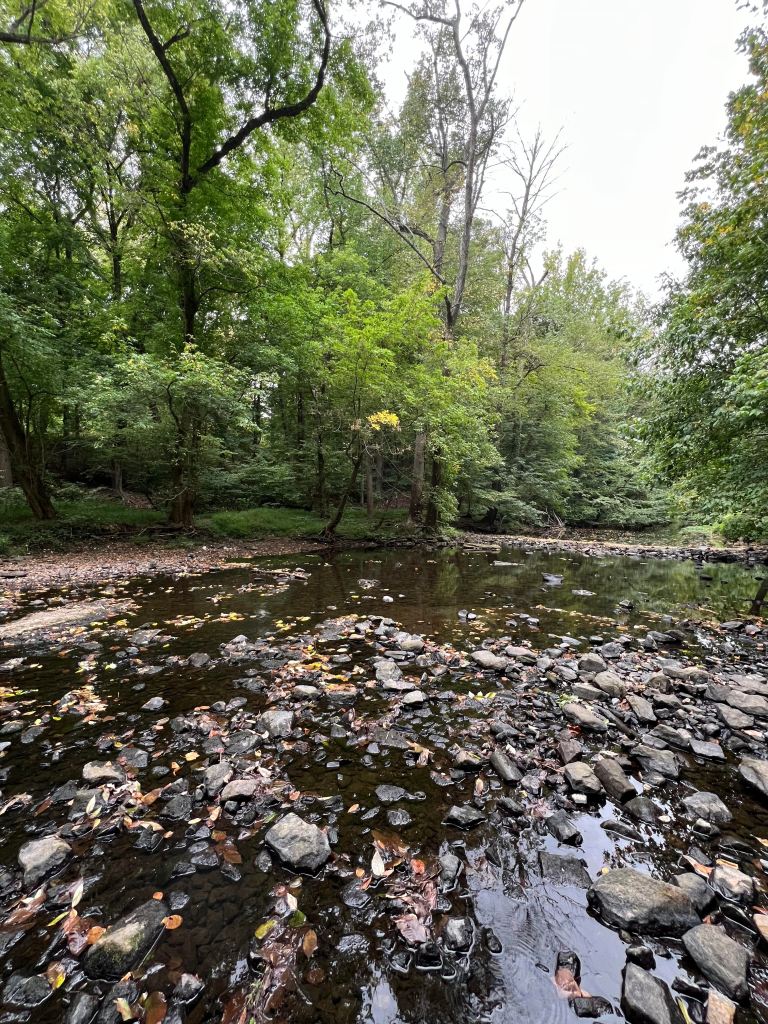 The Revitalizing Power of a Crum Walk – SwatStories